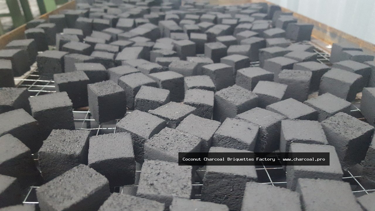 The Best Shisha Charcoal Brands Made By Our Factory