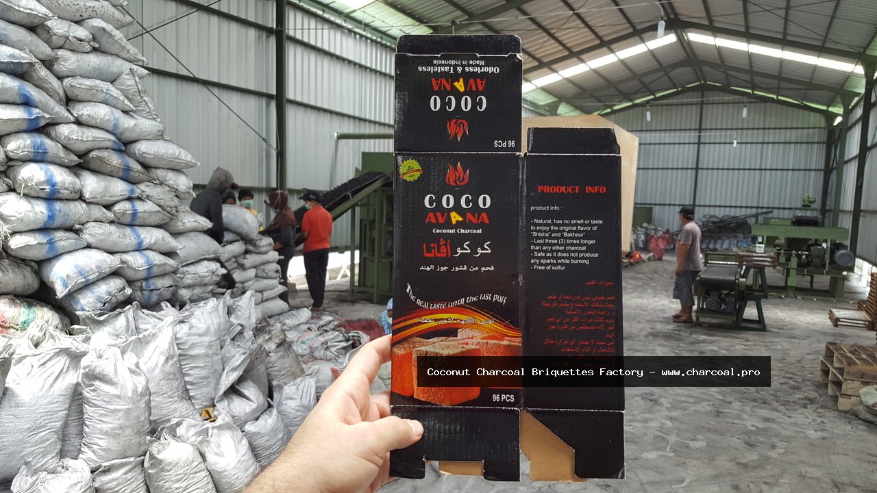 Coconut Charcoal Briquettes Brands For Shisha & Hookah