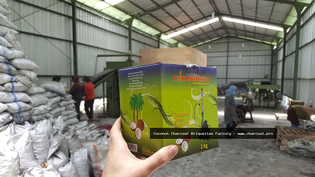 Coconut Charcoal Briquettes Brands For Shisha & Hookah
