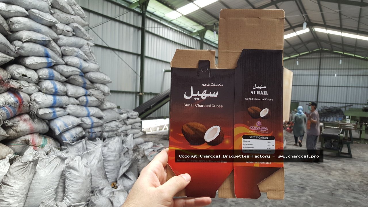 Coconut Charcoal Briquettes Brands For Shisha & Hookah