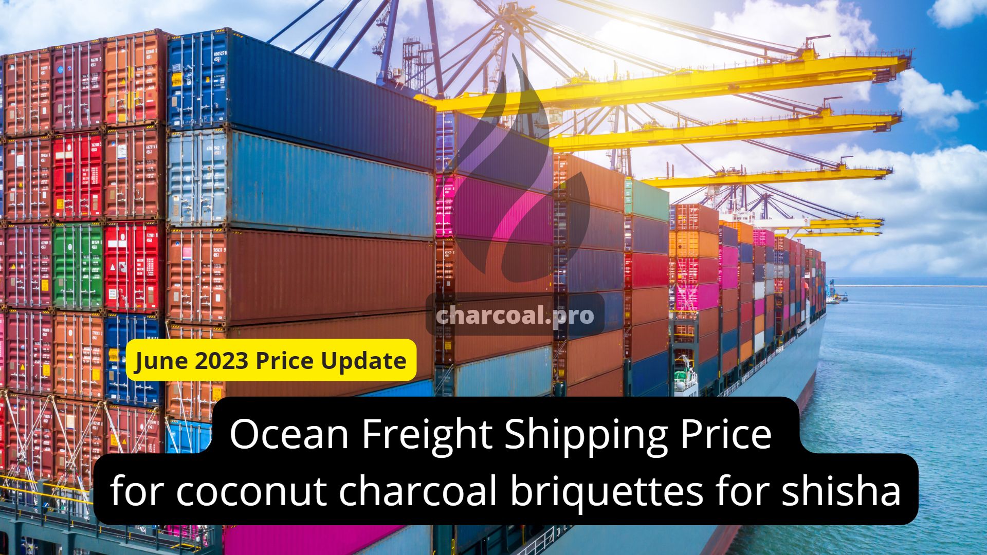 Ocean Freight Price For Shisha Charcoal In June 2023