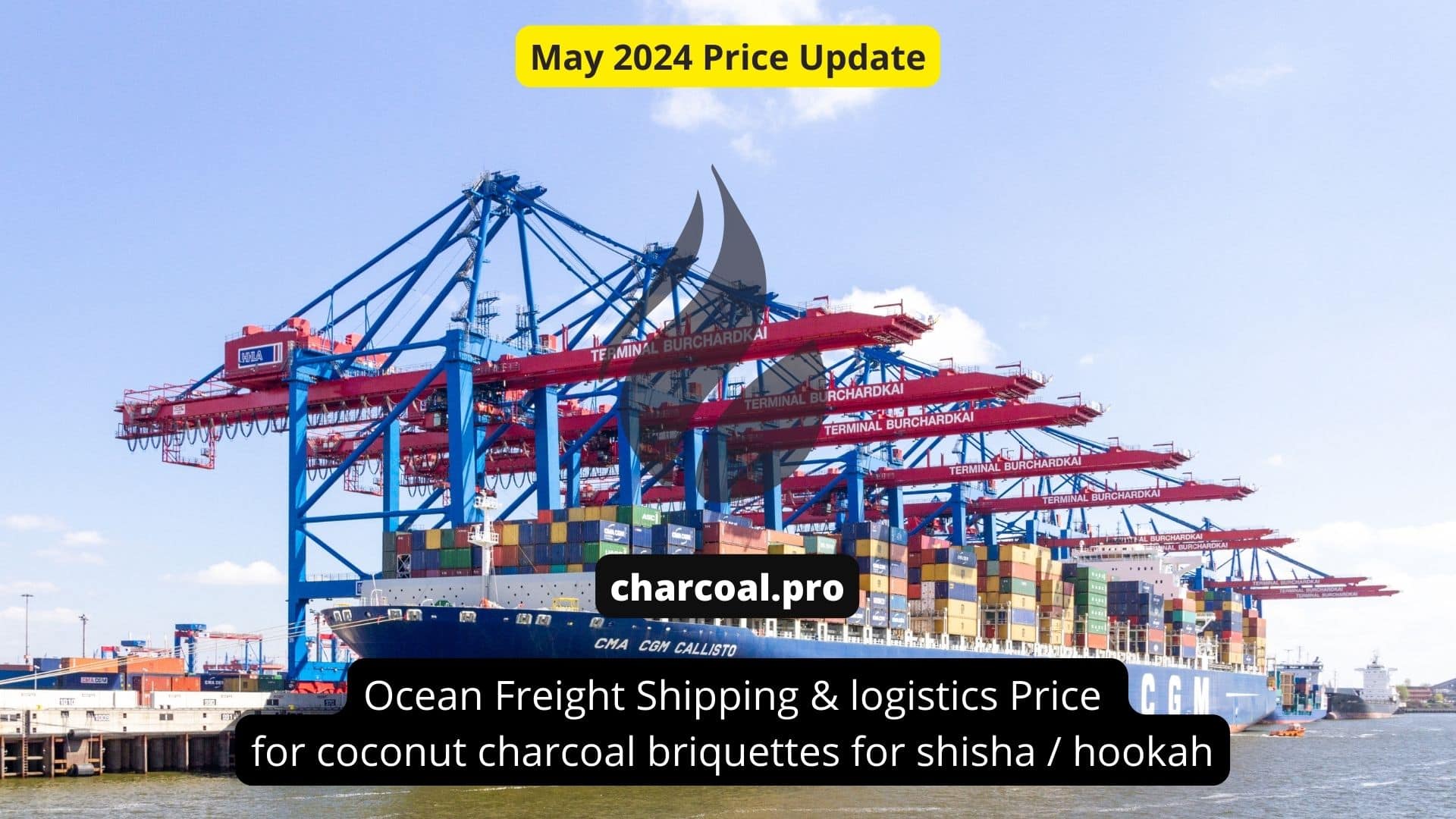 Ocean Freight Price For Shisha Charcoal In May 2024