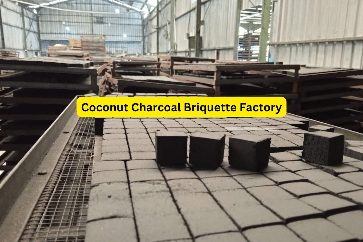 Coconut Charcoal Briquette Factory For The Best Shisha Charcoal